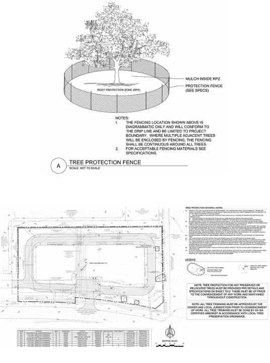 Tree Disposition Plan | Evergreen Design Group